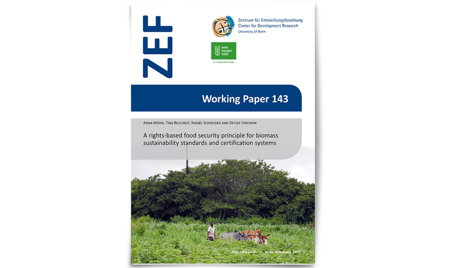 Scientific paper: Food Security Principle for Biomass – Food Security ...