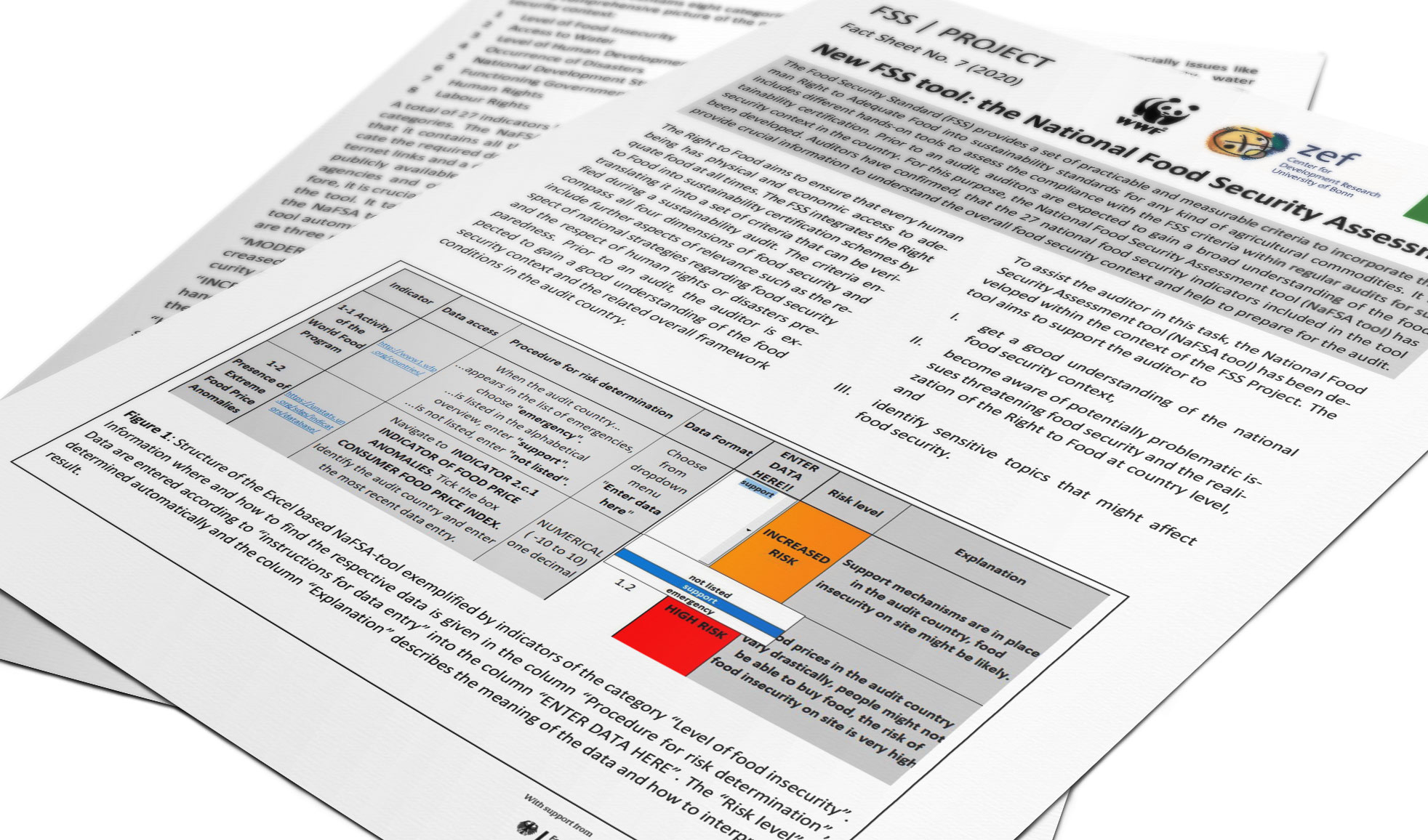 Fact Sheet 7: National Food Security Assessment Tool – Food Security ...